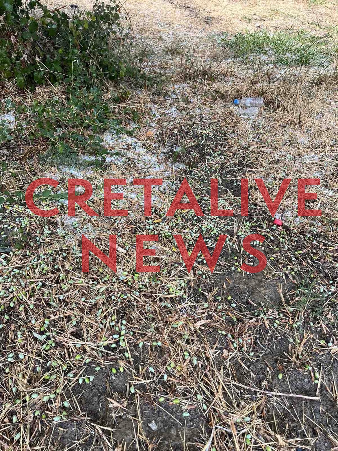 Η κακοκαιρία «χτύπησε» και την Κρήτη - Ζημιές από το χαλάζι (video & photos) | Cretalive ειδήσεις