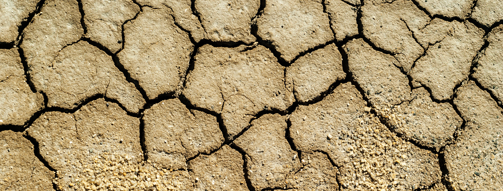 Αλατότητα & pH: 2 σημαντικές έννοιες για κάθε καλλιεργητή | Cretalive ...