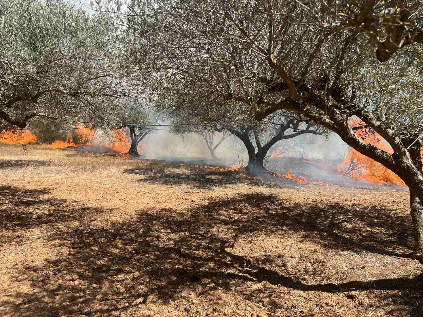 Φωτιά στο Ασήμι: Και ελικόπτερο στη μάχη με τις φλόγες - Φωτογραφίες ...