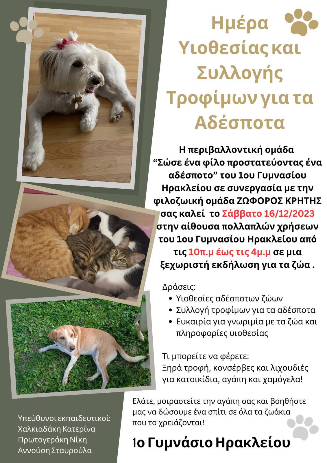 Ημέρα υιοθεσίας και συλλογής τροφίμων για τα αδέσποτα στο Καπετανάκειο ...