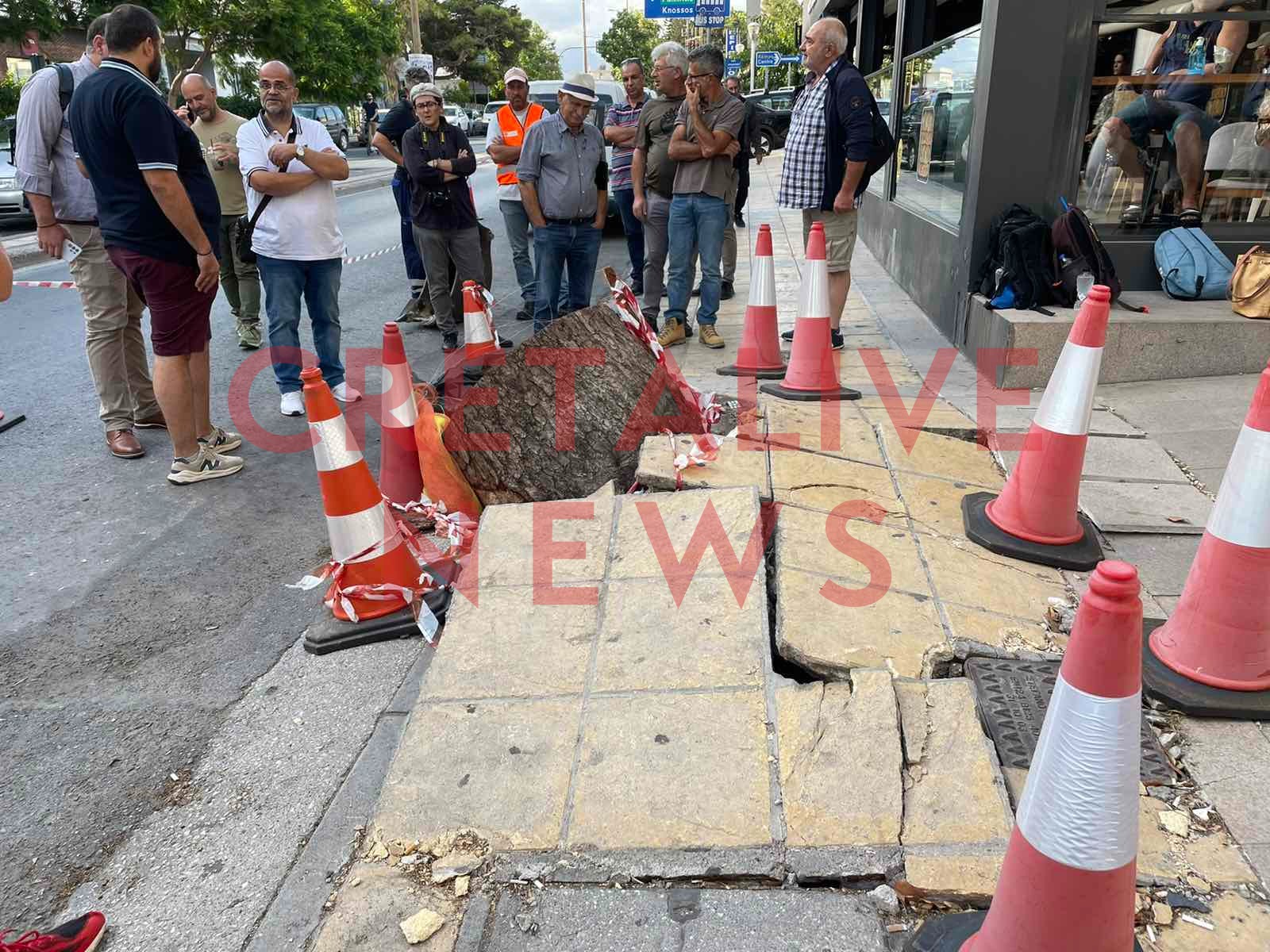 Έκλεισε η Λεωφόρος Δημοκρατίας για τις έρευνες στο "φονικό" δέντρο ...