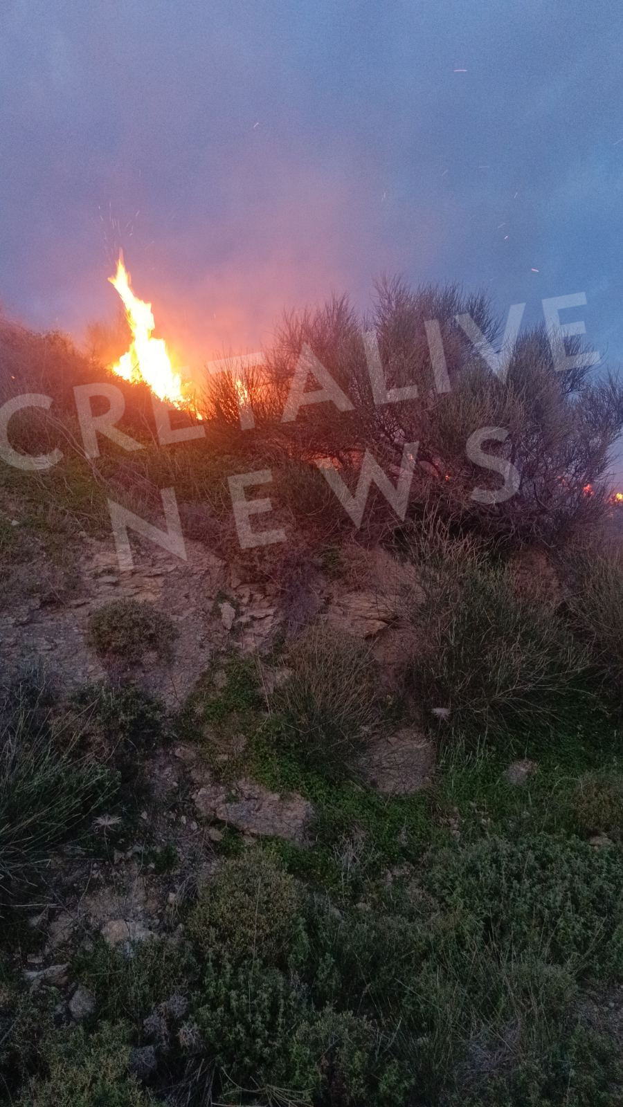 Σε ύφεση η φωτιά στη Σητεία - Δείτε φωτογραφίες | Cretalive ειδήσεις