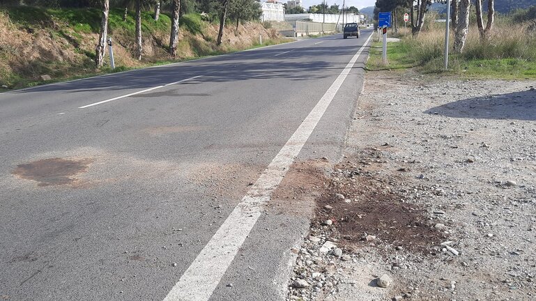 Αυτοκίνητο συγκρούστηκε... με άλογο! | Cretalive ειδήσεις