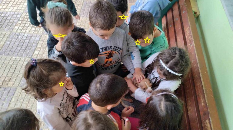 Ενσυναισθηση και Ζώα: Η δράση συνεχίστηκε στο 41ο Νηπιαγωγείο Ηρακλείου ...