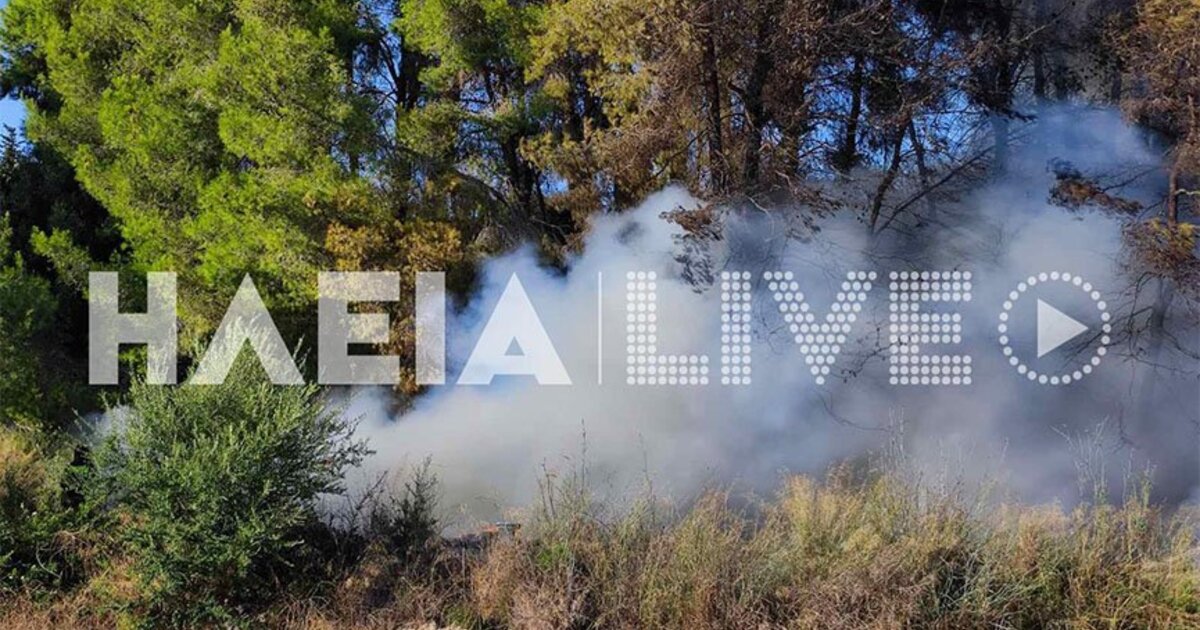 Φωτιά στα Βαρβάσαινα Ηλείας | Cretalive ειδήσεις