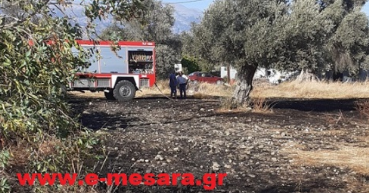 Πρόλαβαν τη φωτιά πριν πάρει διαστάσεις | Cretalive ειδήσεις