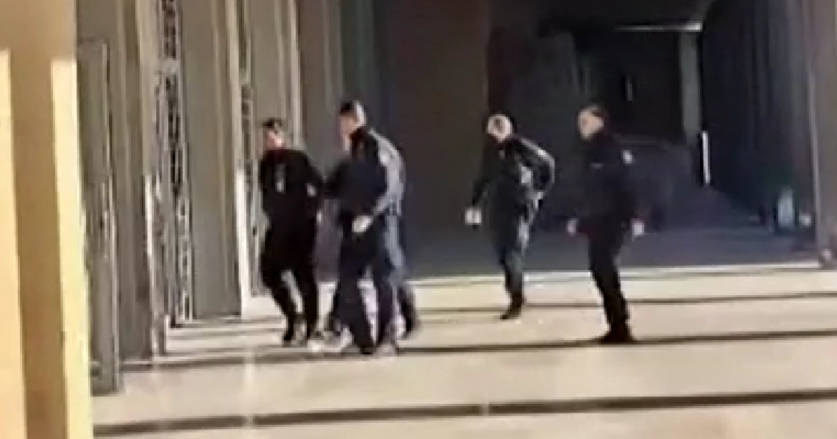 Θεσσαλονίκη: Προφυλακίστηκε ο ιδιοκτήτης των σκύλων που κατακρεούργησαν ...