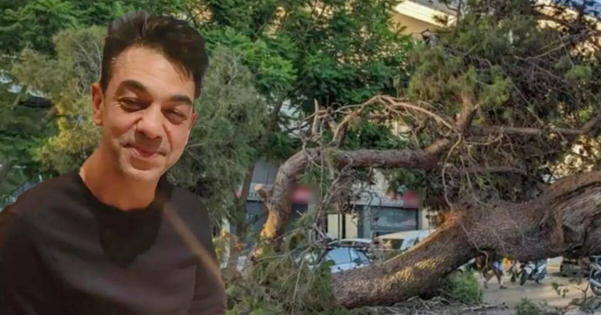 Δύο χρόνια από την τραγωδία με το "φονικό πεύκο": Συγκλονίζει η ...