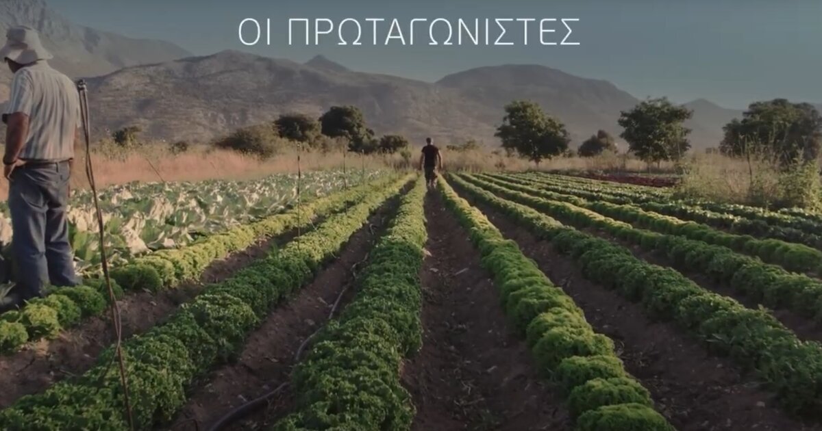 Αναγεννητική Γεωργία στο Οροπέδιο Λασιθίου: Καλλιεργώντας το Μέλλον ...