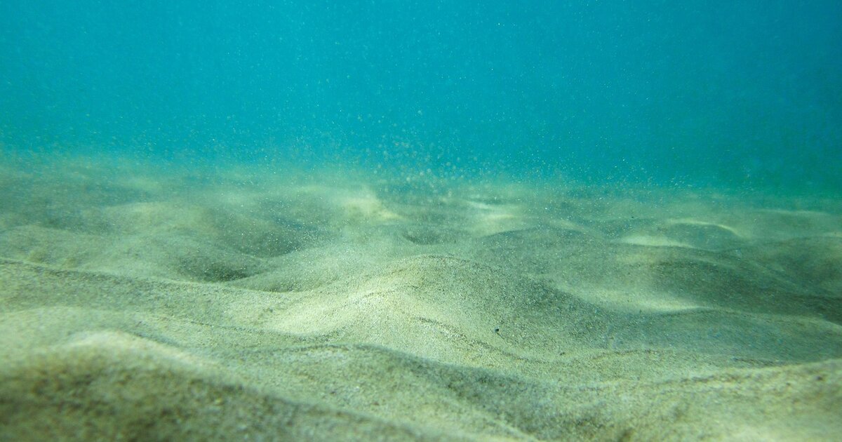 Καλαμάτα: Βρέθηκε οβίδα στο βυθό του λιμανιού | Cretalive ειδήσεις