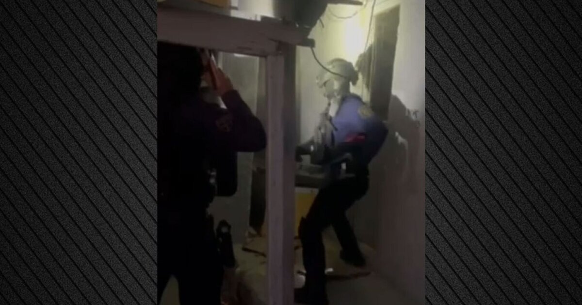 Γέρακας: Επιχείρηση της ΕΛ.ΑΣ. σε καταυλισμό της περιοχής - 16 προσαγωγές (βίντεο) | Cretalive ...