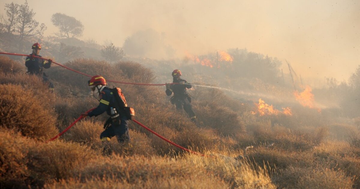 Συναγερμός για φωτιά σε δασική έκταση στο Καλό Πηγάδι Φωκίδας – Στη μάχη και εναέρια μέσα ...