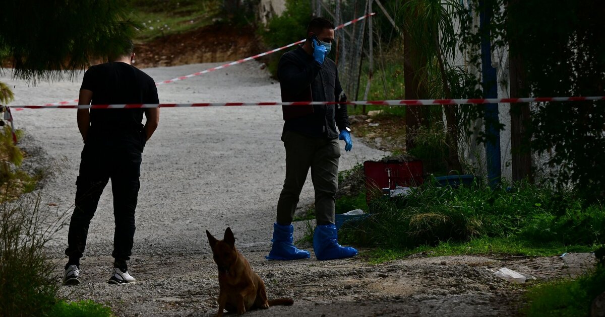 Σαλαμίνα: "Να την προσέχετε" - Η 75χρονη είχε "δείξει" τον δολοφόνο της ...